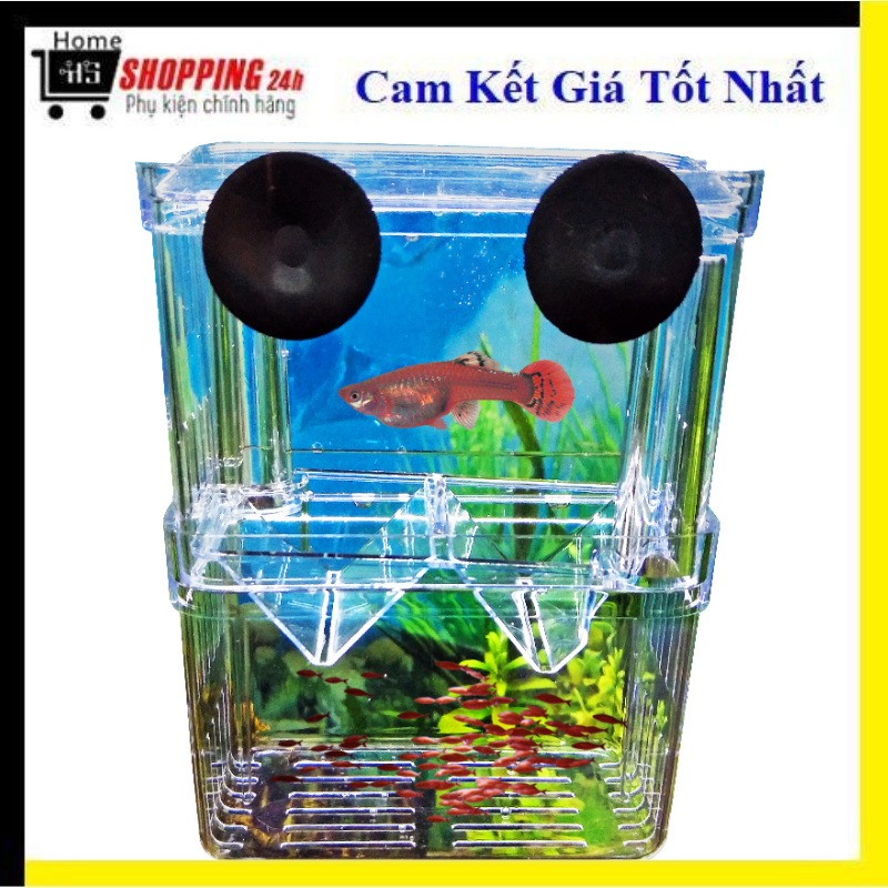 Fish isolation tray, egg spawning tray, fry isolation cage, fry cage, 7 ...