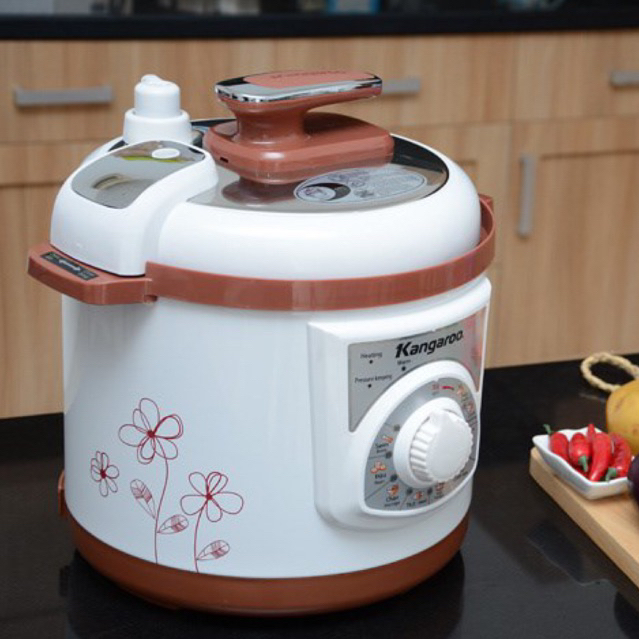 Main drain valve, cover gasket, float valve Kangaroo pressure cooker ...