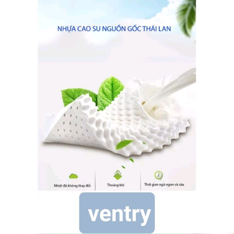 Thailand ventry latex pillow | Shopee Malaysia