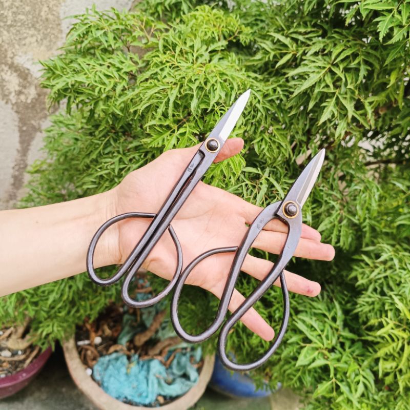 Bonsai pruning shears | Shopee Malaysia