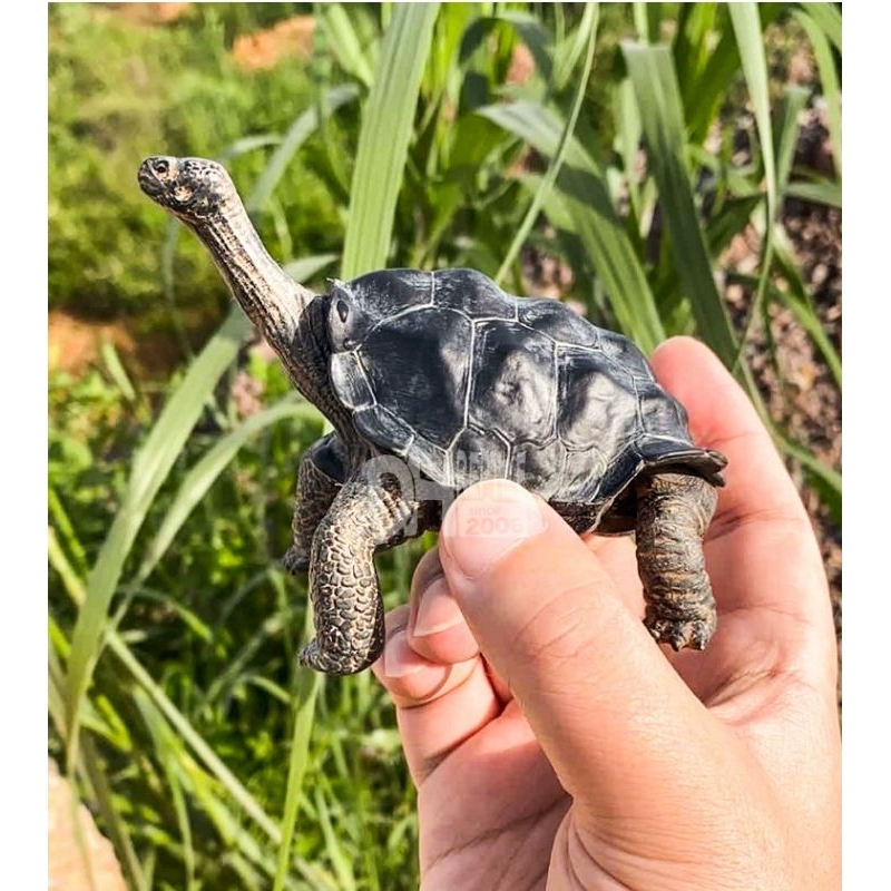 Land Turtle Model (Galapagos and Plow Blade) | Shopee Malaysia