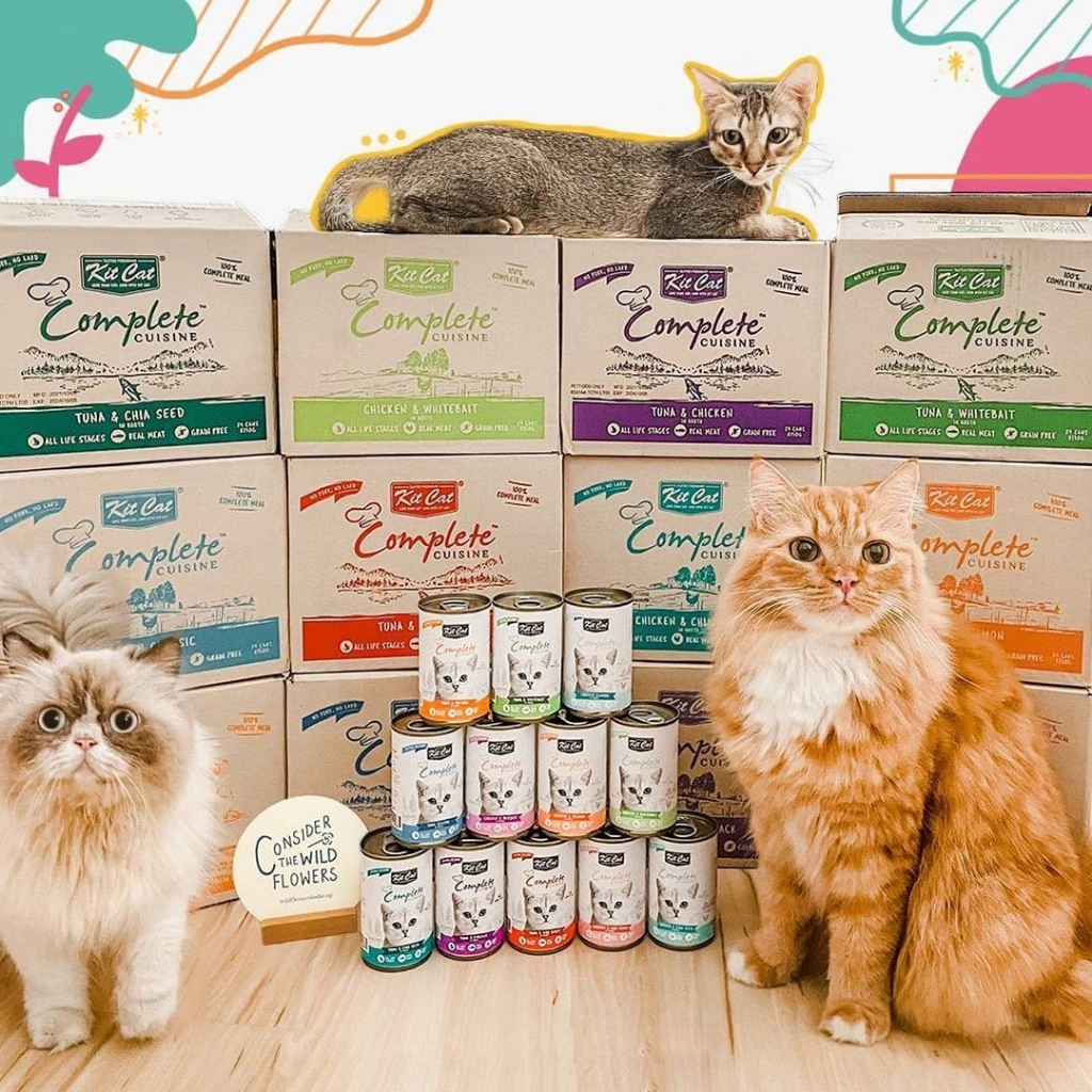 Pate Kit Cat Complete Cuisine for cats of all ages 150g can | Shopee ...