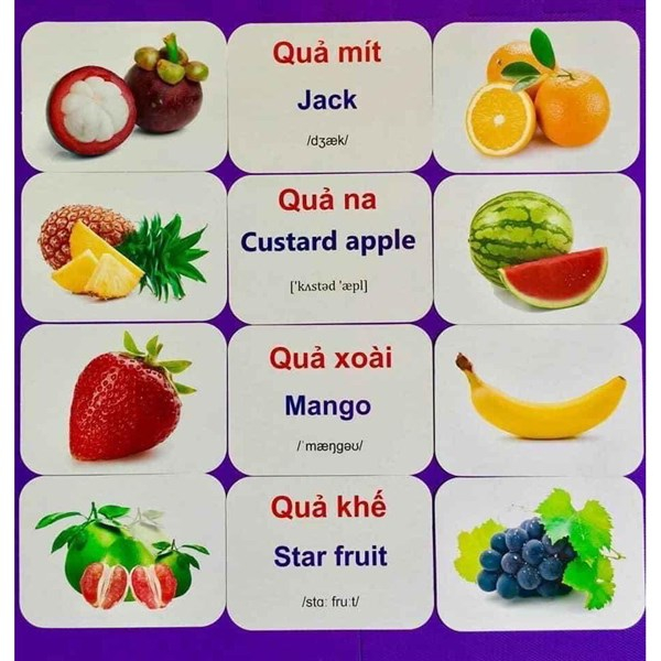 Flash CARD ENGLISH-VIETNAMESE BILINGUAL CARD - 1 RANDOM TOPIC, ENGLISH ...