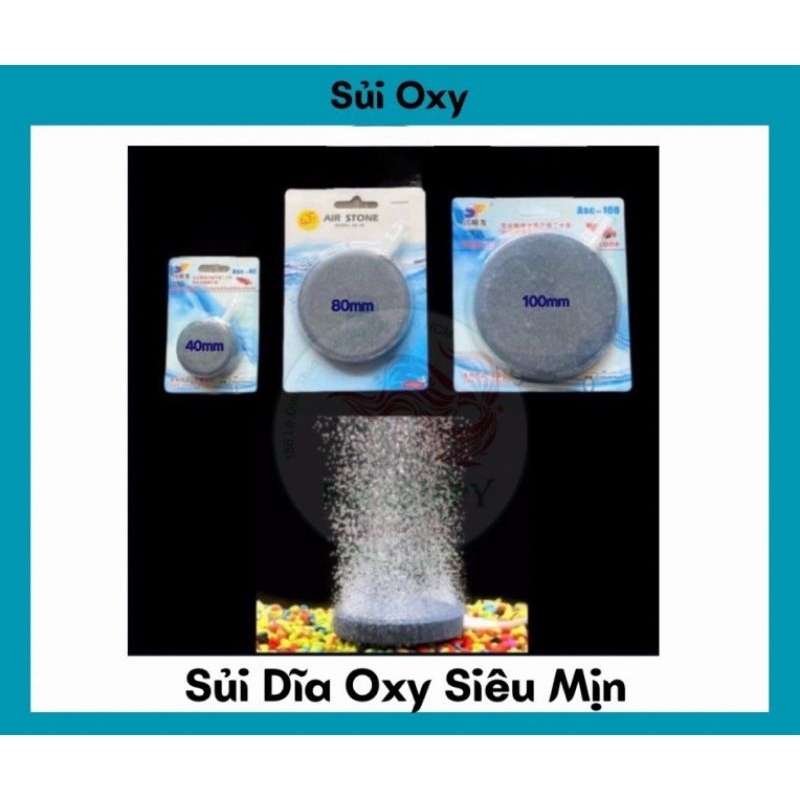 OXY Effervescent Oxygen Disk for Aquariums 40mm, 80mm, 100mm | Shopee ...