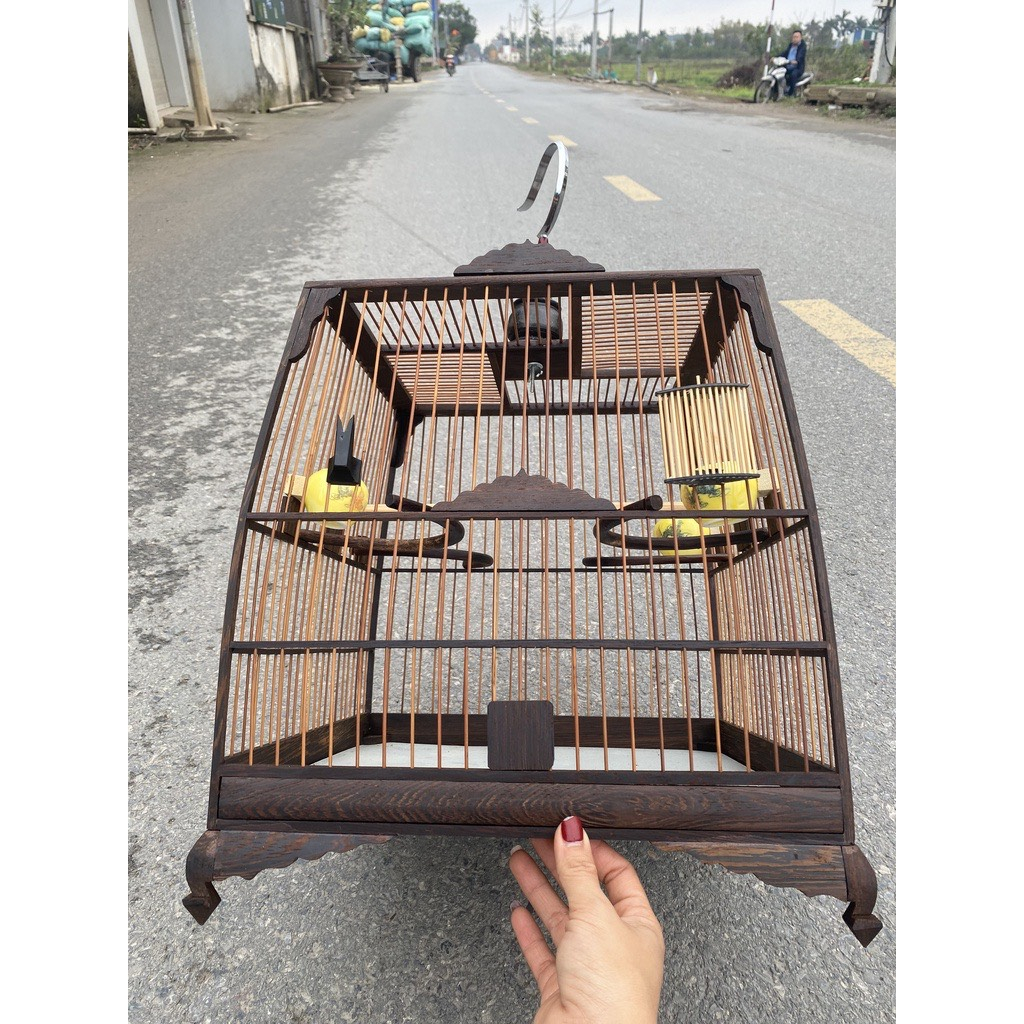 Self-assembled crested bird cage frame made of ebony, peacock tail ...