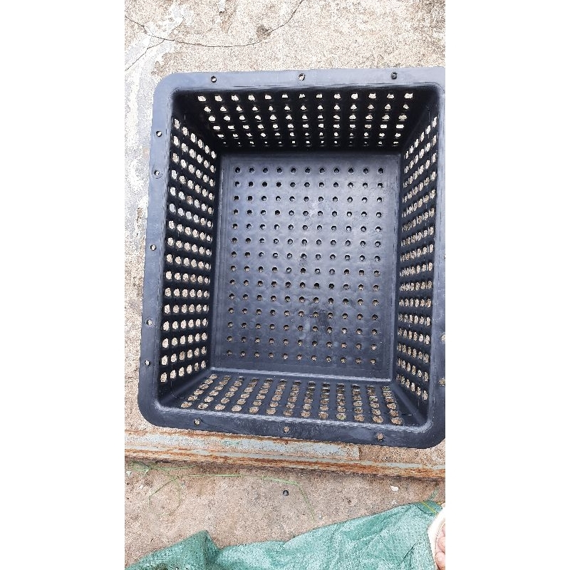 Plastic crab farming box type 1 (large box) | Shopee Malaysia