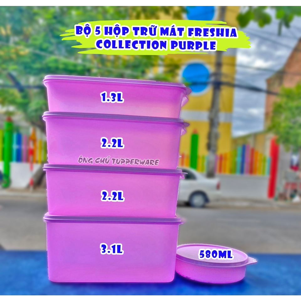 Set of 5 Freshia Collection Purple cool storage boxes - Genuine ...