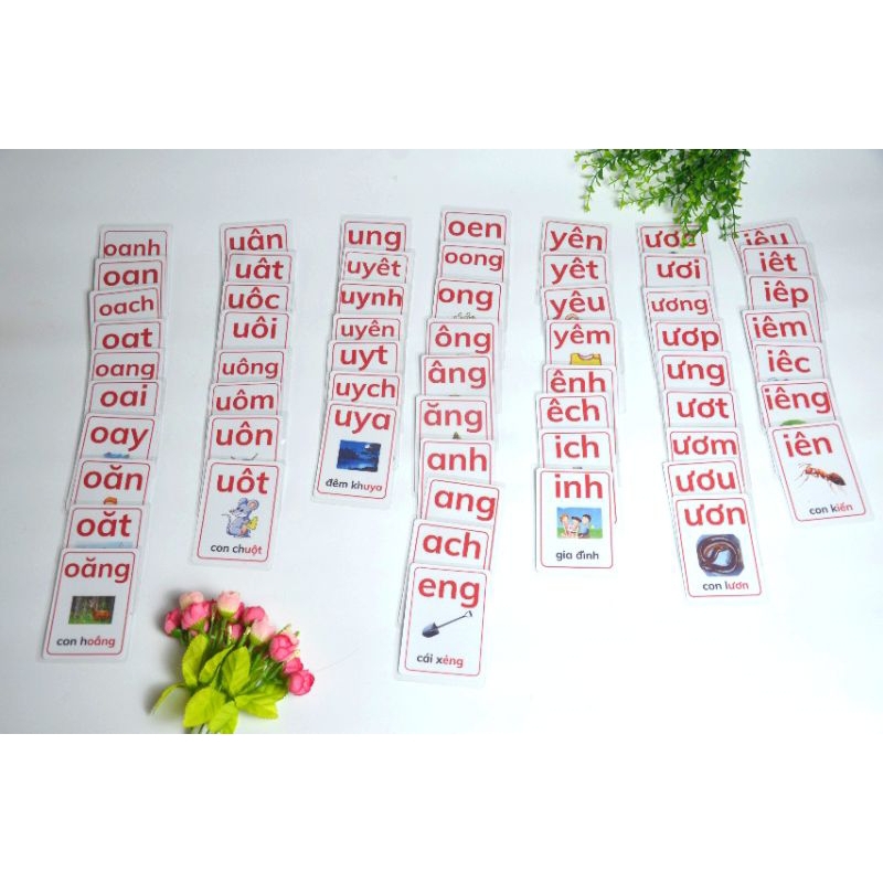 Vietnamese (set of flashcards with letters, digraphs, Vietnamese rhymes ...