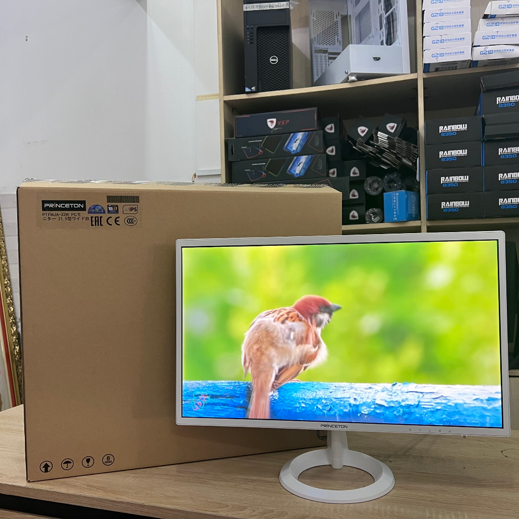 Princeton iodata 22inch Full HD / DVI - VGA - HDMI monitor with Fullbox ...