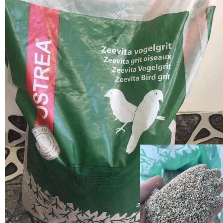 Italian GRIT MINERALS SUPPLEMENT FULL OF NUTRITION FOR Parrots and Bird ...