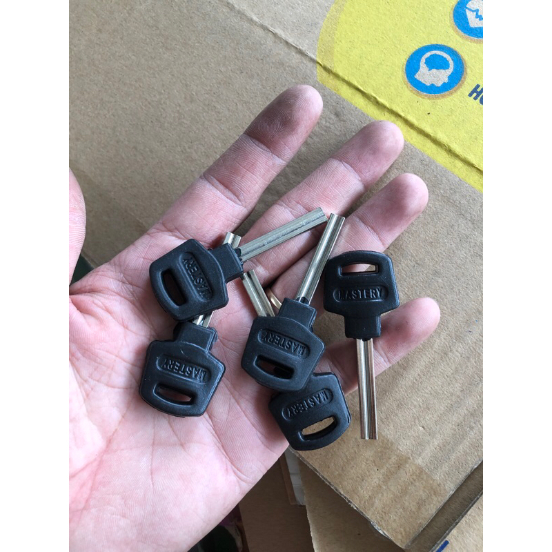 Small plastic handle solex key blank (bag of 50 keys) | Shopee Malaysia