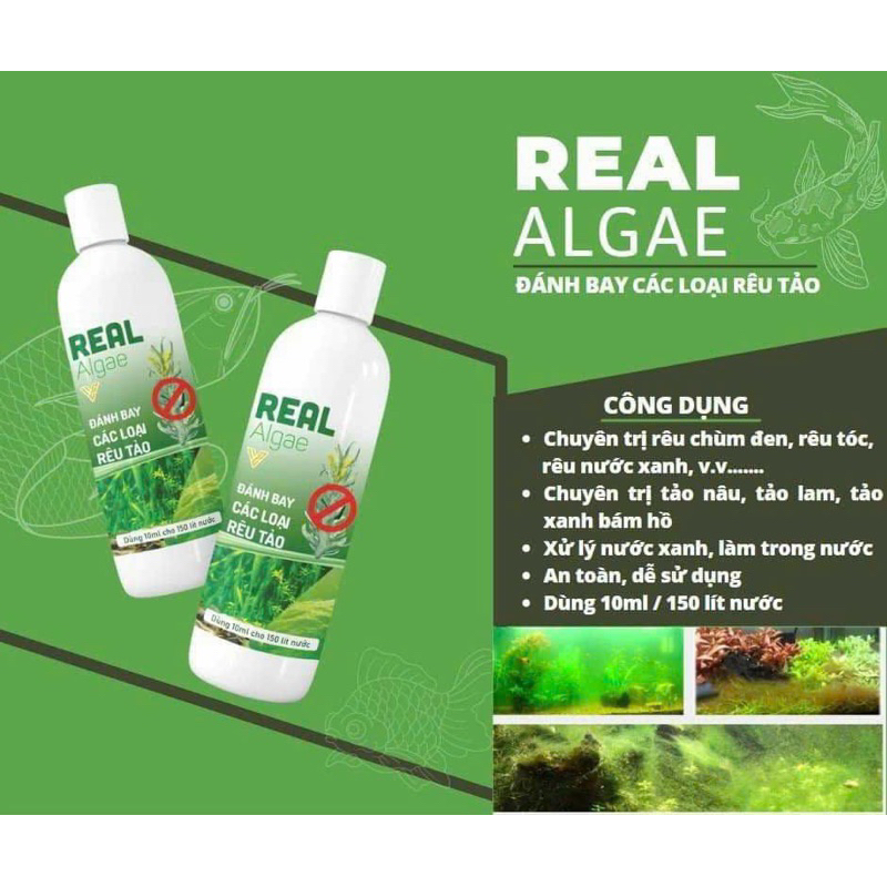 Real Algae Removes Algae Moss, Green Algae Water, Moss Clinging To The ...