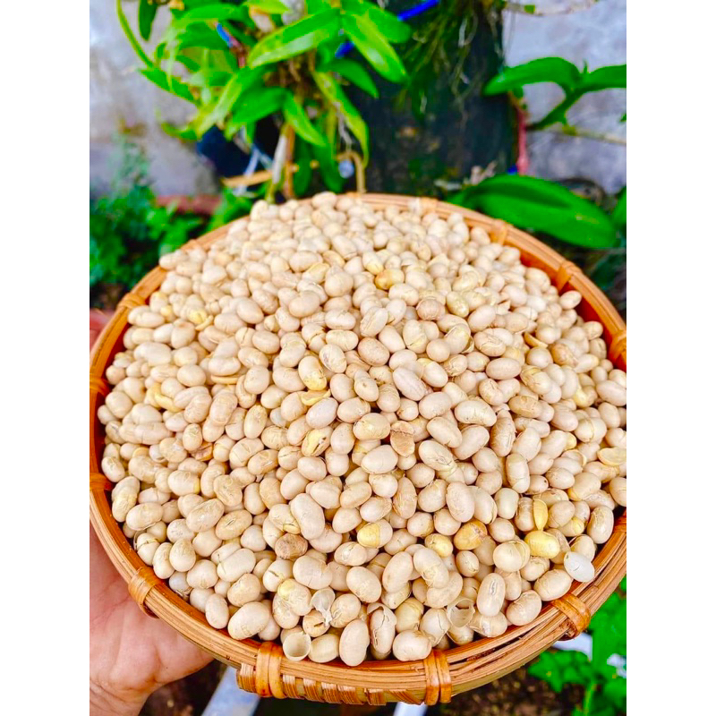 1kg of crispy dried soybeans with large, whole flavor | Shopee Malaysia