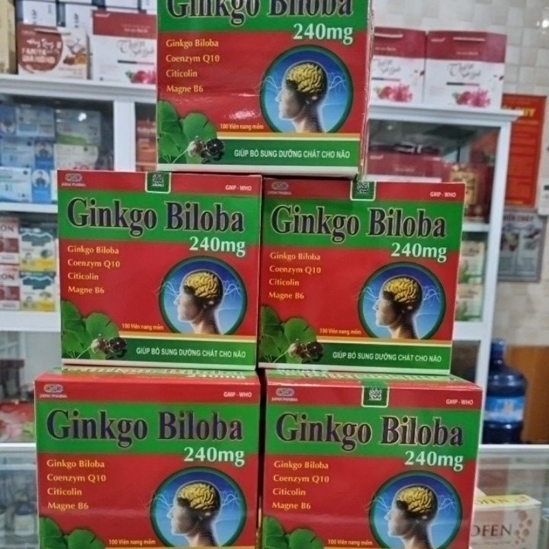 Ginkgo Biloba brain supplement 240mg (reduces headaches, dizziness ...