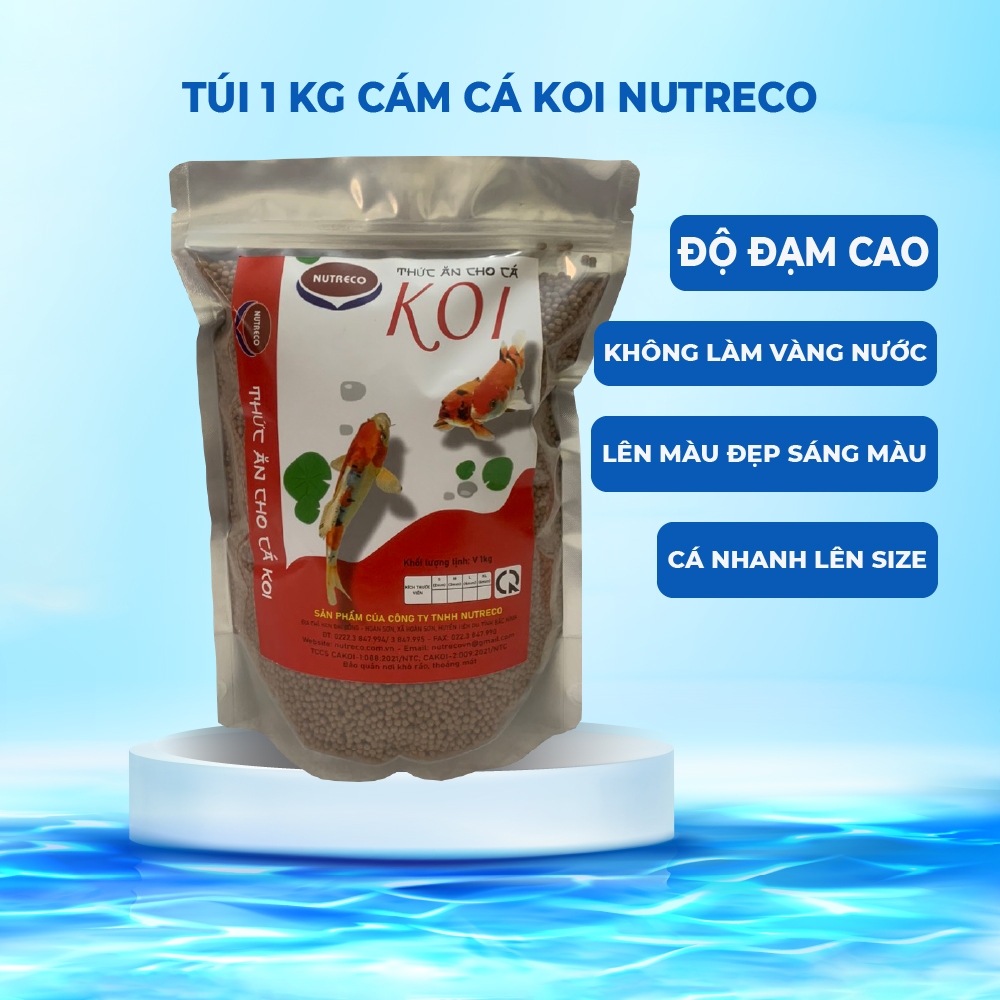 Nutreco koi Fish Bran 42% Protein No oil residue, high protein, Nutreco ...