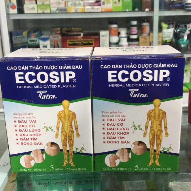 Ecosip Cool Tatra Herbal Paste Helps Relieve Muscle Pain, Joint Pain ...