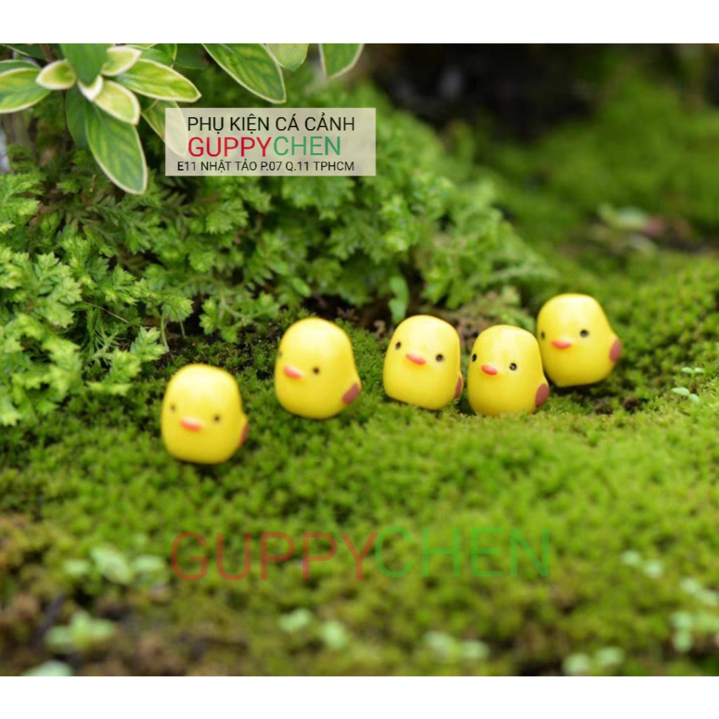 Miniature Model " Mini Chicks " Aquarium and Terarium Decoration ...
