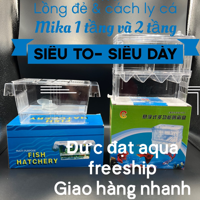 Spawning cage, guppy separation cage, transparent Mica fish nursing ...