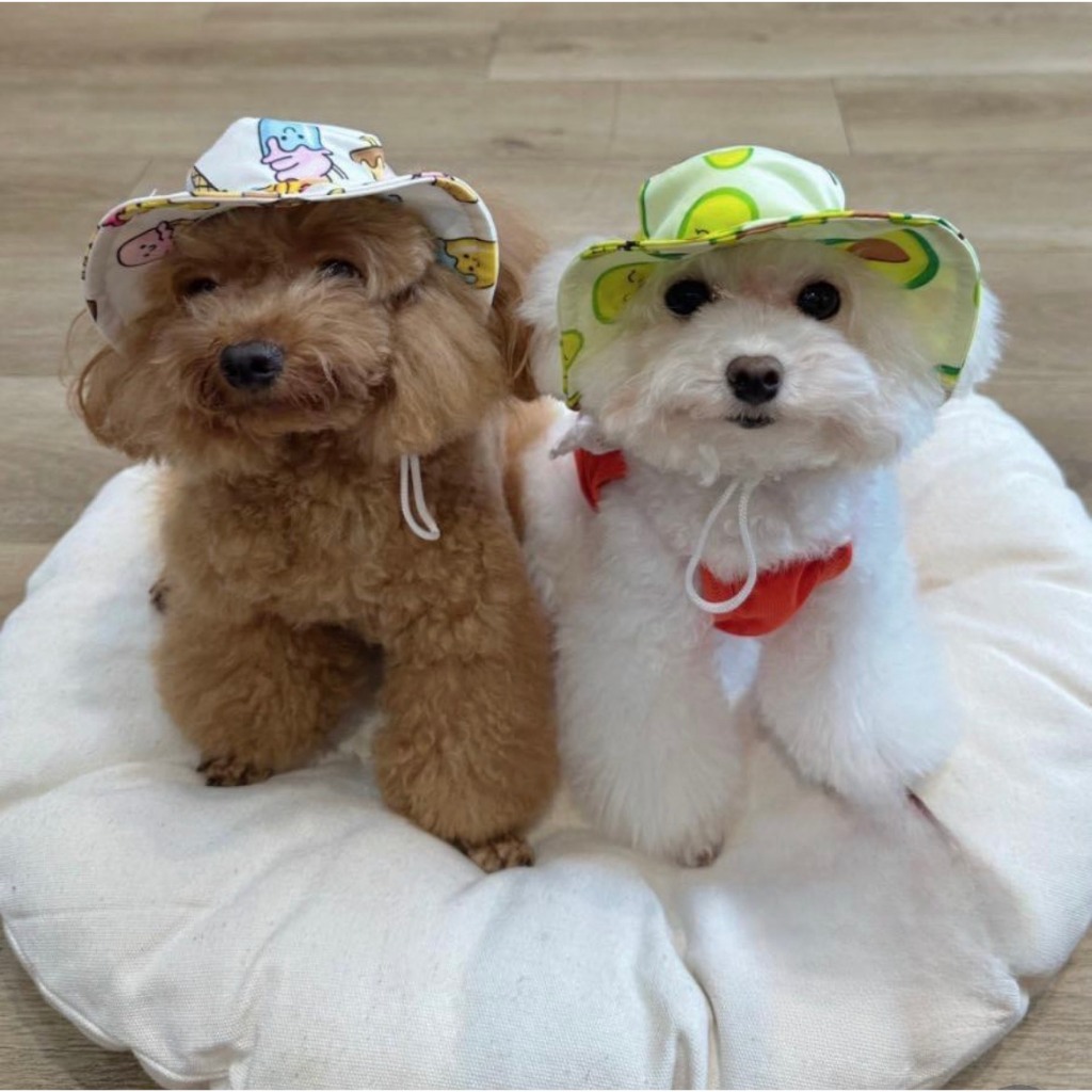 Hats for dogs and cats IN LARGE SIZES - Fabric hats with open ears ...