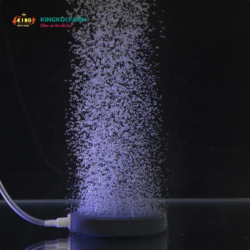 OXY Super smooth oxygen effervescent disc with 3-legged base 20CM_30CM ...