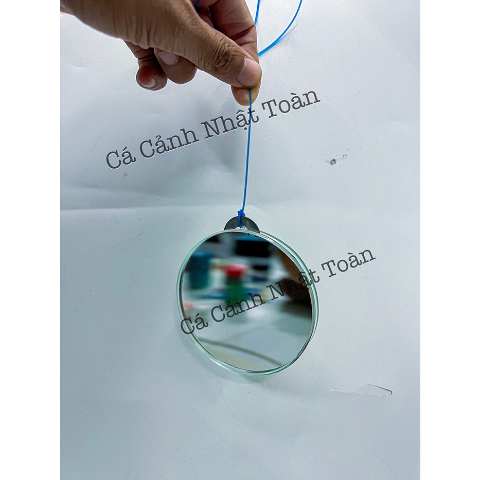 La HAN FISH SUNG GLASS HIGH QUALITY ROUND GLASS (10CM DIAMETER ...