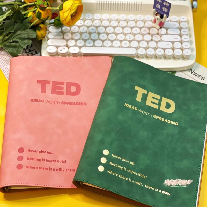 Ted (Chinese English bilingual) | Shopee Malaysia
