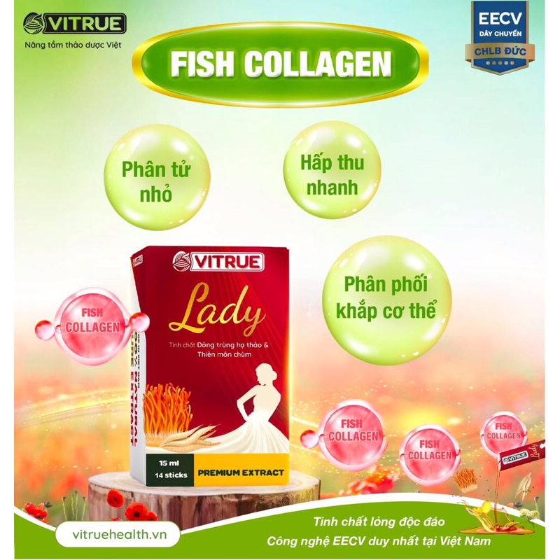Vitrue Lady Enhances Female Physiology, Increases Estrogen Hormones ...
