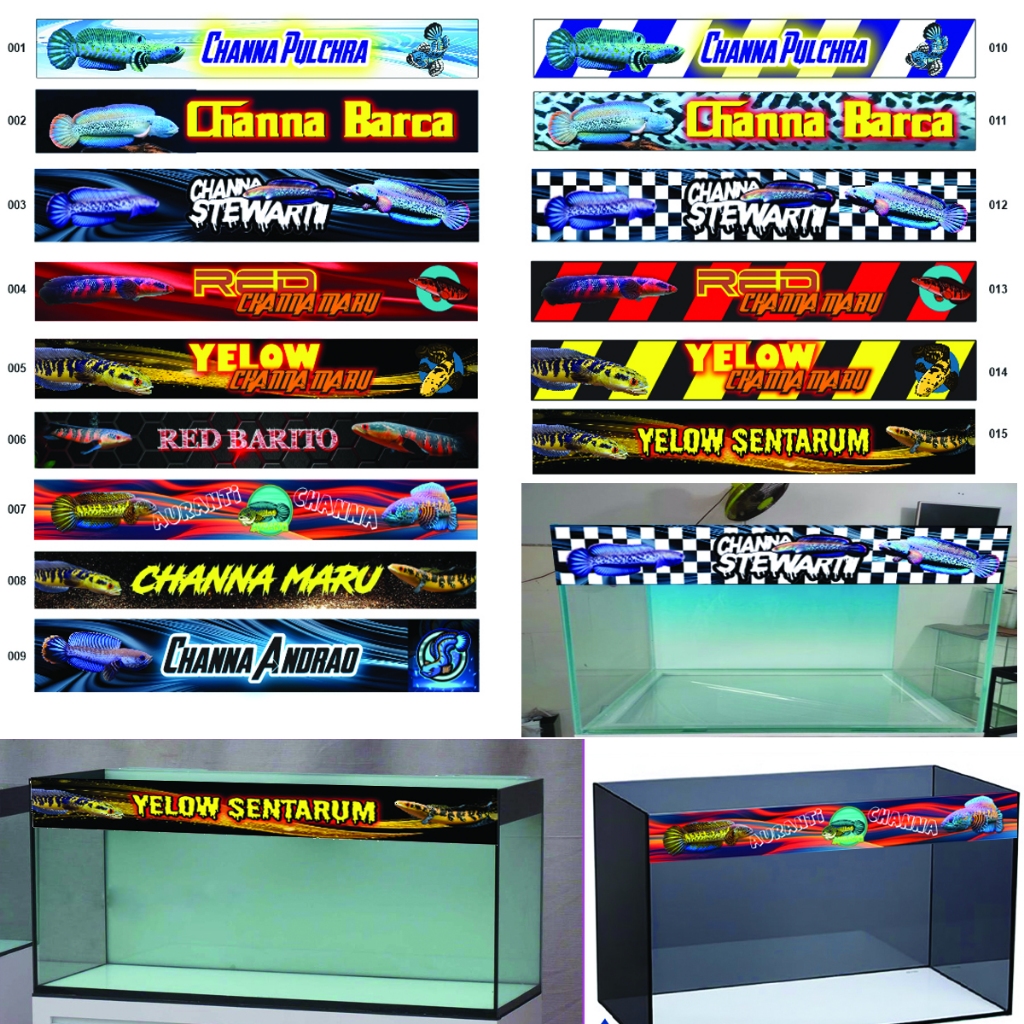 Ornamental snakehead fish tank sticker - diverse designs - easy to use ...