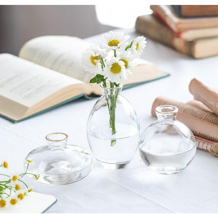 Set of 3 Mini Transparent Flower Vases for Beautiful Home Decor ...