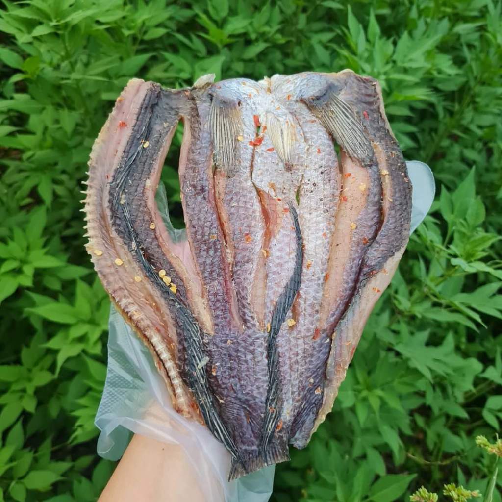 Dried Snakehead Fish 4-5 Sunny Bag 500g Western Specialty Special ...