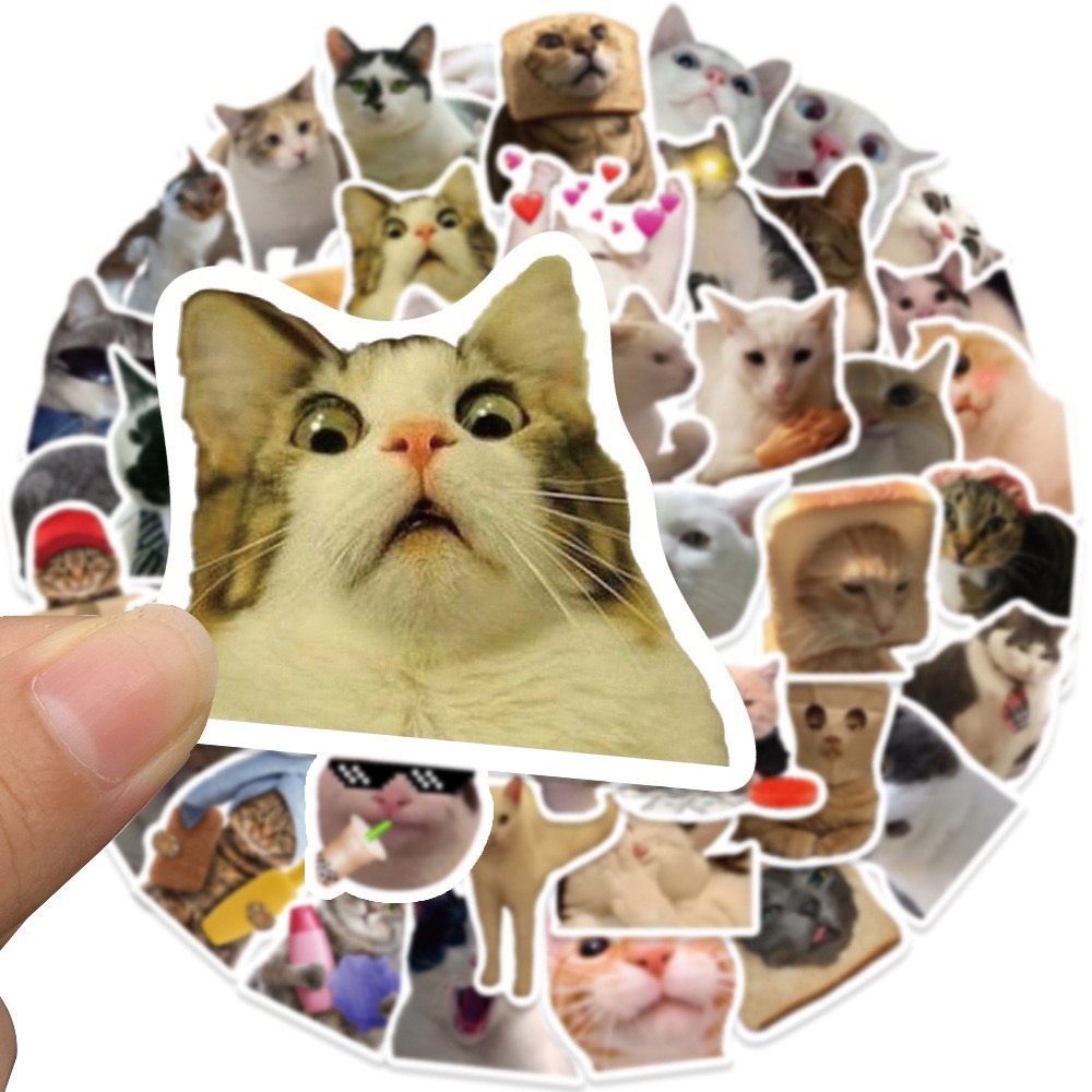 Cat Meme Stickers (Set of 50) waterproof PET stickers with simple ...