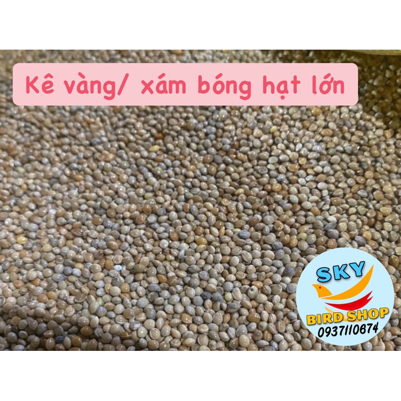 Large Grain Ball Millet 1kg | Shopee Malaysia