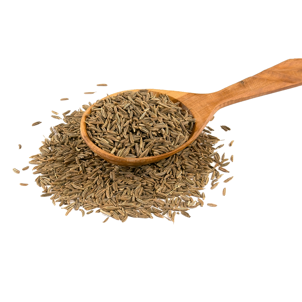 Cumin Seeds - Jeera - Jeera Cumin Seeds (500g) | Shopee Malaysia