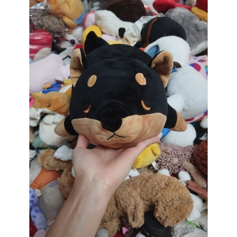 Miniso Teddy Bear size About 60cm | Shopee Malaysia