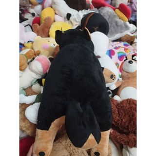 Miniso Teddy Bear size About 60cm | Shopee Malaysia
