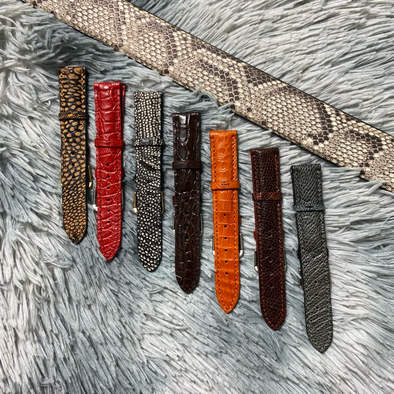DW Watch Strap - Crocodile Leather Strap, Ostrich Leather Strap for DW ...