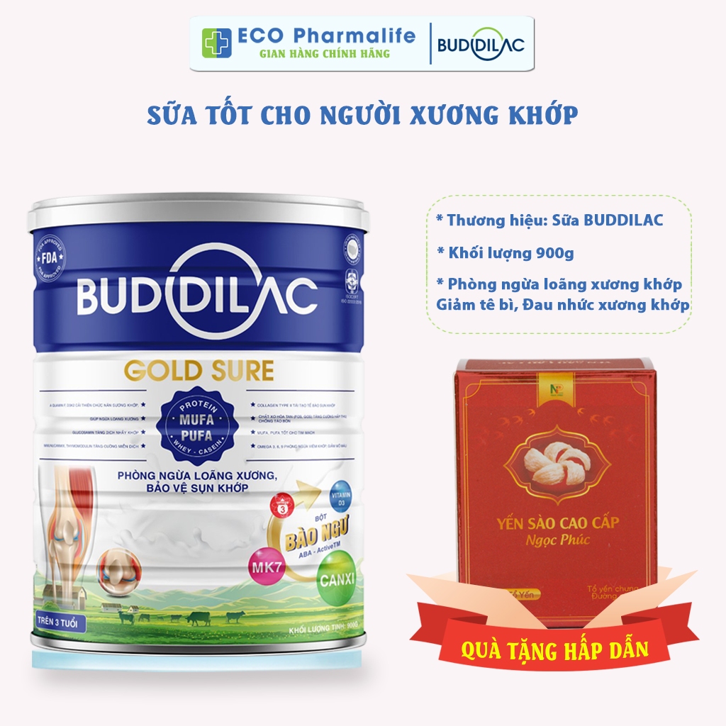 Buddilac Gold Sure Milk - Good Milk for People with Bones and Joints ...