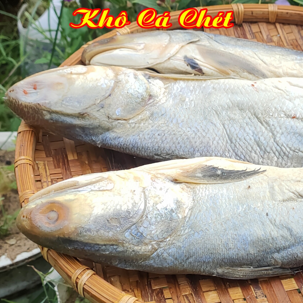 [ 300gr ] CA MAU SPECIALTY FISH SAUCE FOR CHILDREN TO EAT USED TO MAKE ...