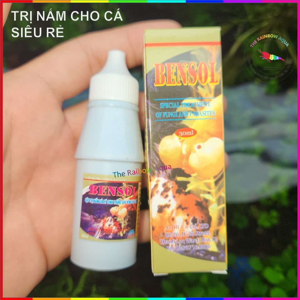 Bensol treats fungus and parasites for ornamental fish (30ml bottle ...
