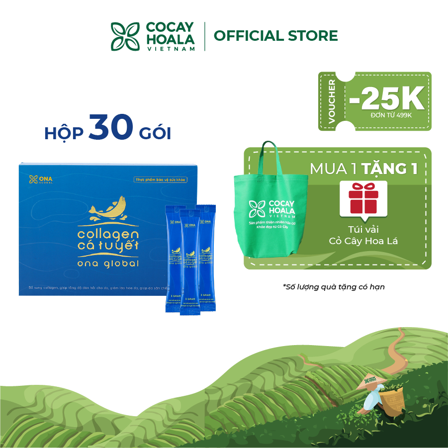 Cocayhoala VIETNAM Cod Collagen, 2500mg Hydrolyzed Collagen Type I Beautify The Skin, Firm ...