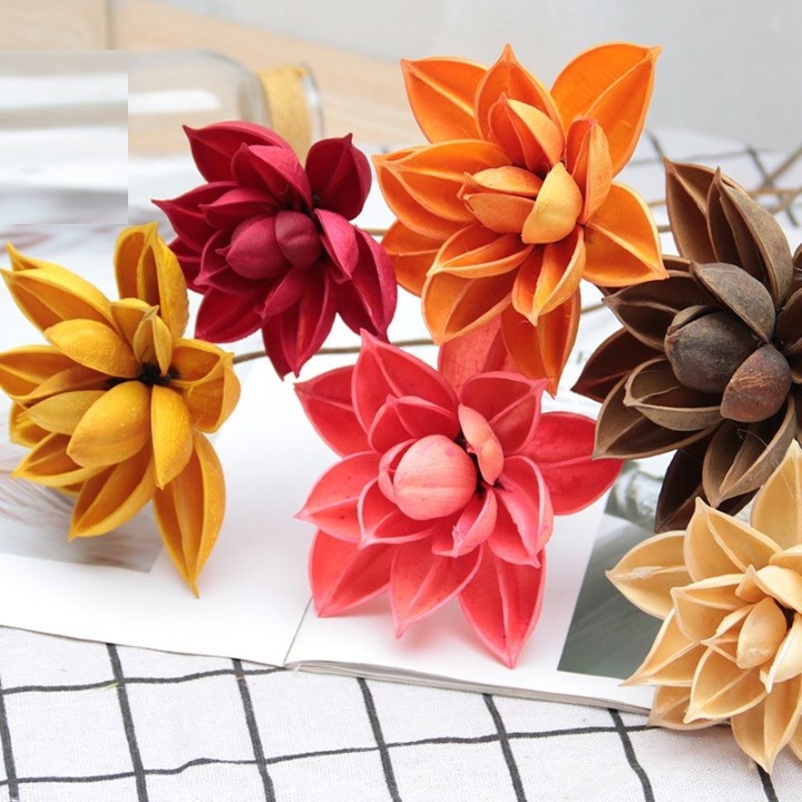 Dried lotus combo | Shopee Malaysia