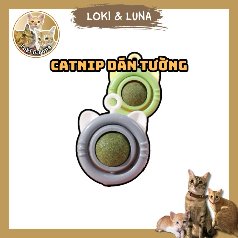 [FIRE] Catnip Cat Face Wall Sticker - Loki and Luna Shop | Shopee Malaysia