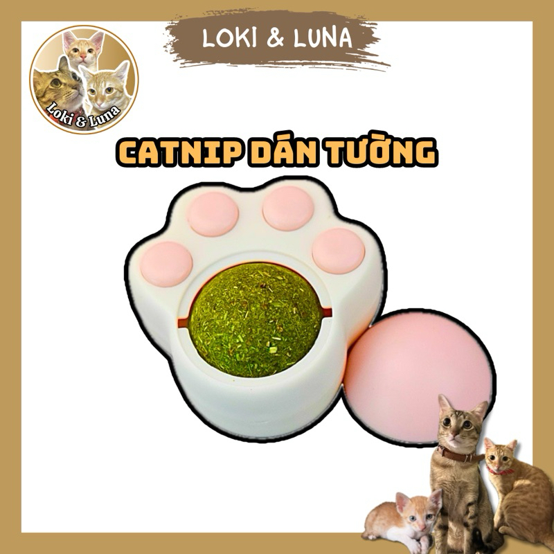 [FIRE] Catnip Cat Hand Wall Sticker - Loki and Luna Shop | Shopee Malaysia