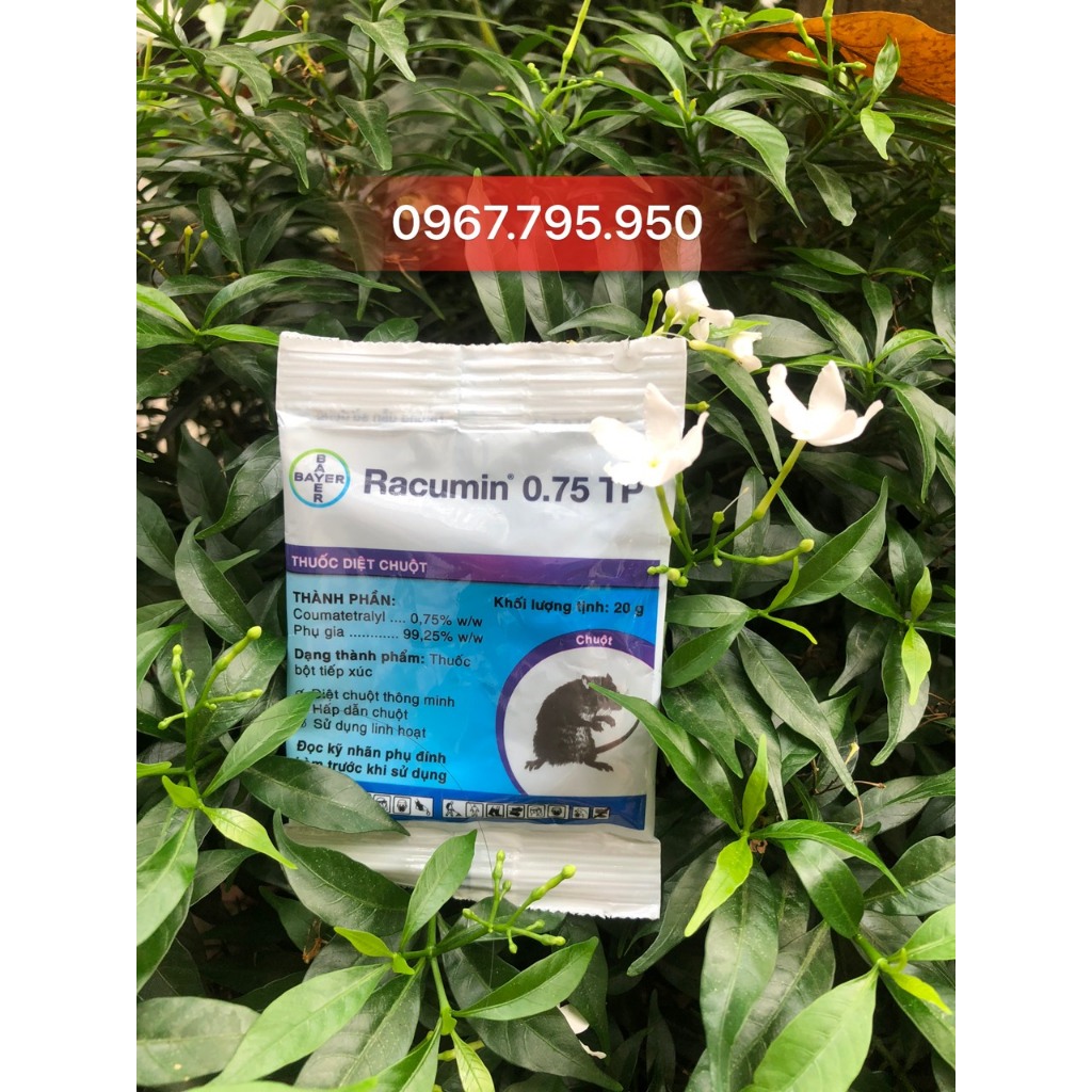 (Buy 1 Pack Get 1 Free Pack Of The Same Type) New Generation Racumin TP ...