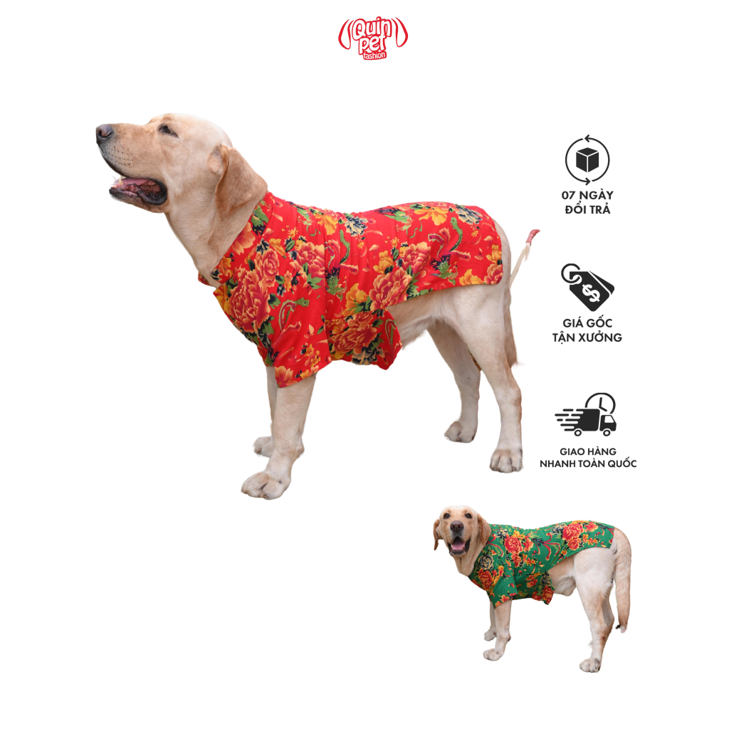 Quin pet Ao dai for pets, ao dai for big dogs | Shopee Malaysia