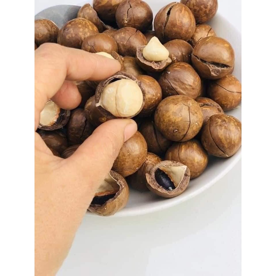 Australian Macca Nuts - Queen Of Nuts - Box Of 500g | Shopee Malaysia
