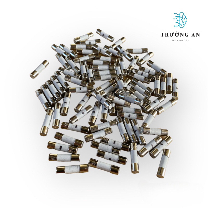 Set of 10pcs Ceramic Fuse 6.3A 250V 2.5A 250V | Shopee Malaysia