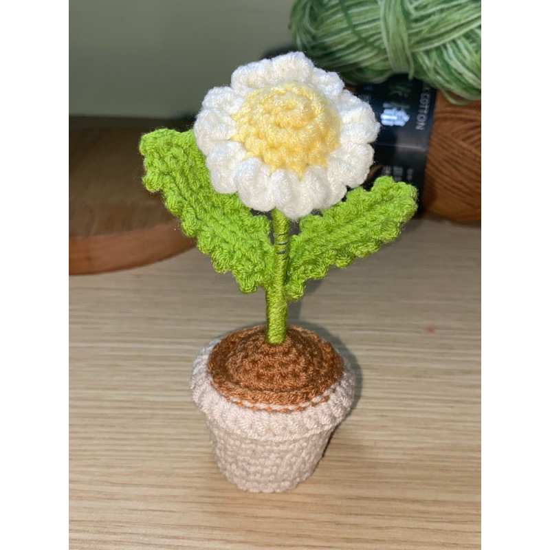Chrysanthemum Pots For Woolen Eyelashes Hand Crochet Products (Real ...