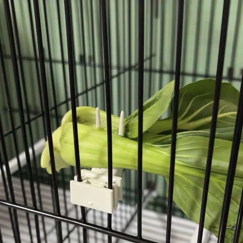 Fruit and fruit stapler for Ornamental Birds. | Shopee Malaysia