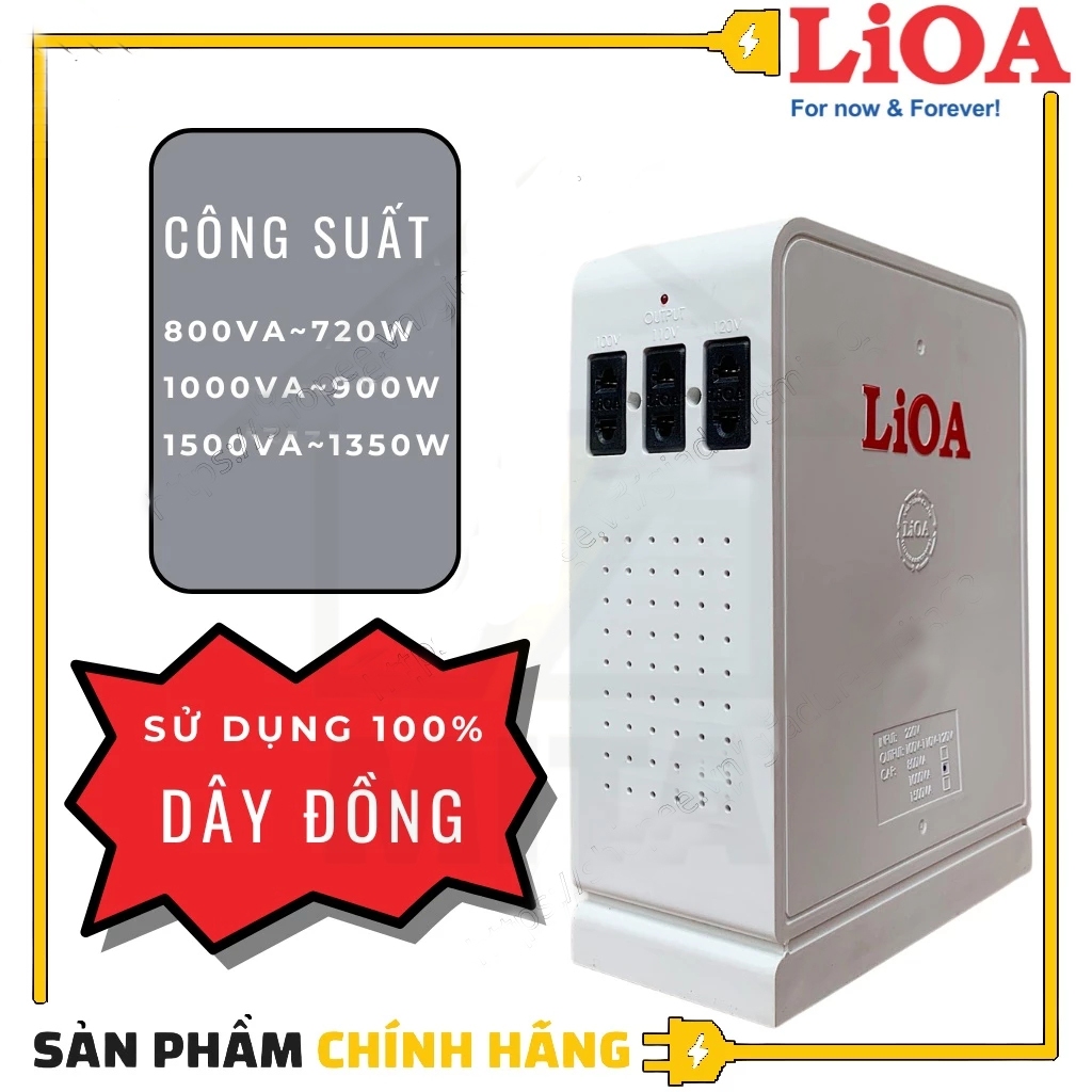 Input LiOA Copper Power Input Power Source Converter 220V To 100V /110V /120V 800V / 1000VA ...